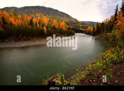 Autumn colors along Tanzilla River in Northern British Columbia Stock ...