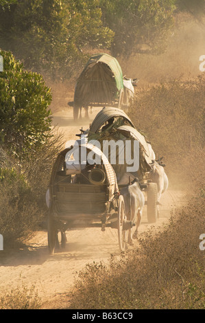 Ox carriage on a dustry road Bagan Pagan Myanmar Burma Stock Photo - Alamy
