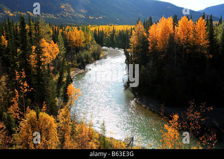 Autumn colors along Tanzilla River in Northern British Columbia Stock ...