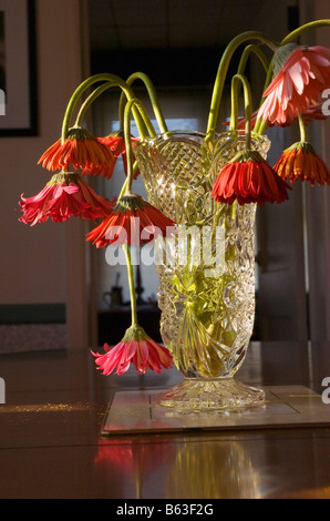 Dying floral arrangement wilted flowers Stock Photo - Alamy