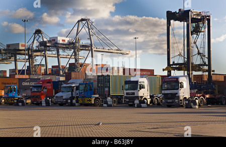 Cranes load containers onto trucks at the Yangluo Port in Wuhan ...