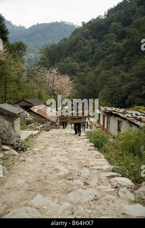 Nepalese men carrying goods in the Modi River valley in the Annapurna ...