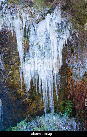 Icicles and a winter stream in the Goyt Valley, Derbyshire Stock Photo ...