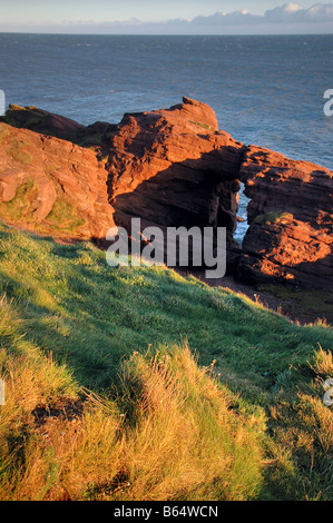 Red sandstone cliffs of the Seaton nature reserve at Arbroath, Angus ...