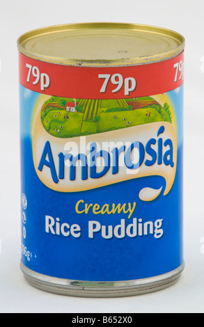 Tinned Rice Pudding Stock Photo - Alamy