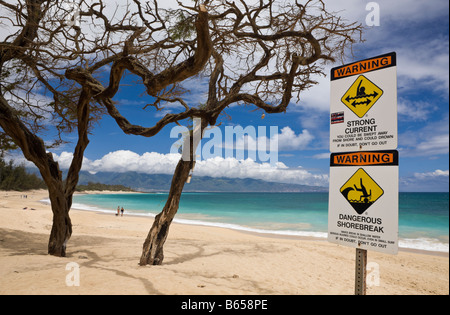 Beach of Kanaha Beach Park Maui Hawaii USA Stock Photo - Alamy