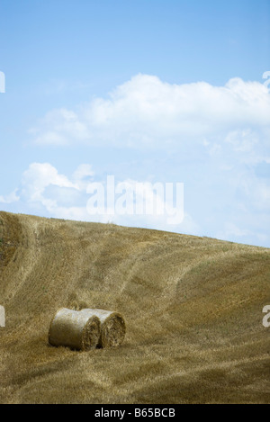 round bale of hay in the field in Autumn sunshine Stock Photo - Alamy
