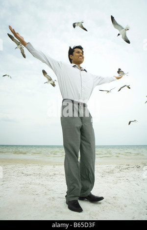A low angle shot of a bird flying in a blue sky Stock Photo - Alamy