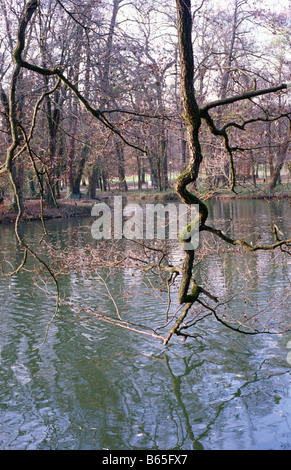 Autumn lake walk, Zagreb, Croatia Stock Photo - Alamy