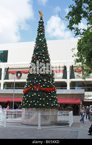 Western Australia Perth Australia Day Celebrations Young people posing ...