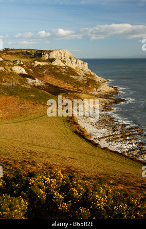 Pwll Du Bay, Gower Peninsula, Swansea, South Wales, UK Stock Photo - Alamy