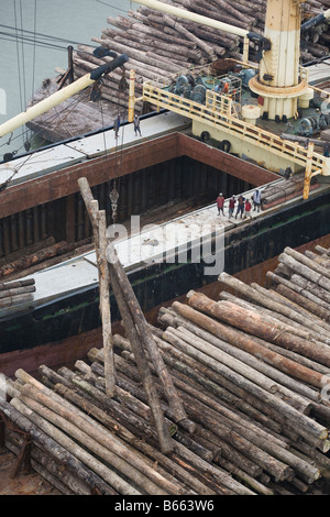 Loading of wood from the forest onto the rail for further transport ...