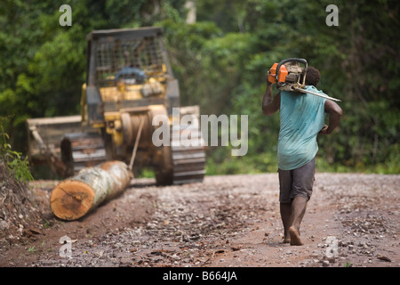 Logging in East New Britain Island, Papua New Guinea, Monday 22nd ...