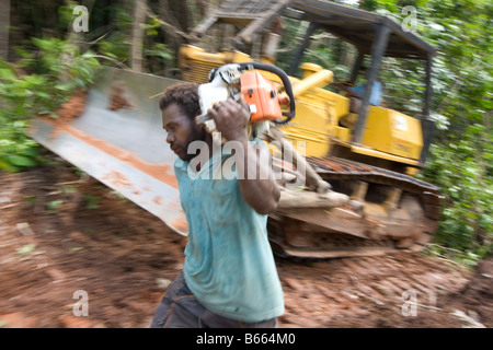 Logging in East New Britain Island, Papua New Guinea, Monday 22nd ...