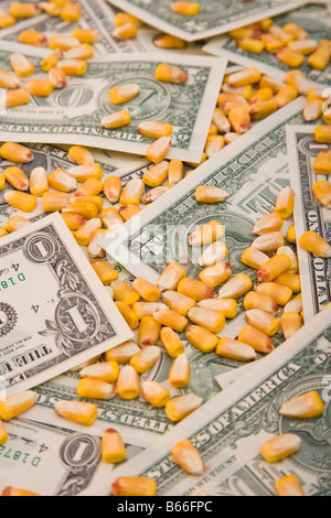 Sweet corn and American paper currency Stock Photo - Alamy