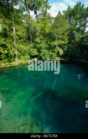 Horn spring North Florida Stock Photo - Alamy