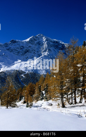 Ortler in South Tyrol Stock Photo - Alamy