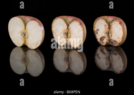 Stages of decay. A rotting Apple Stock Photo - Alamy