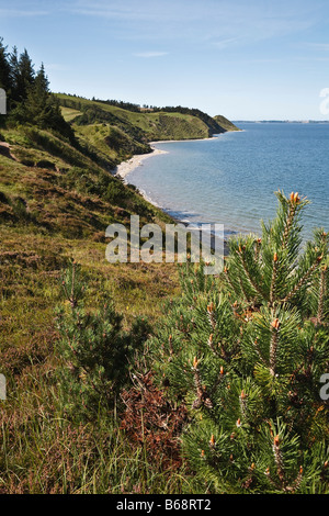 Coastline of Mors, Denmark Stock Photo - Alamy