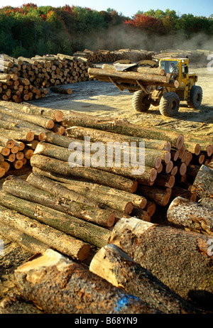 Front end loader moving logs at a pulp mill in Canal Flats, British ...