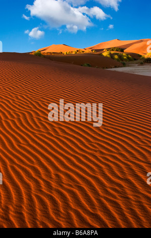 Beautiful sand ripples in the Namib desert Stock Photo - Alamy