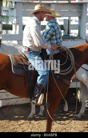 Texas Working Cowboy Stock Photo - Alamy