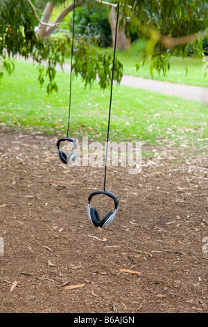 Spinning Gum Tree Bark, Eucalyptus perriniana, Myrtaceae, Victoria ...