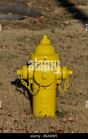 Fire hydrant or fire plug johnny pump Stock Photo - Alamy