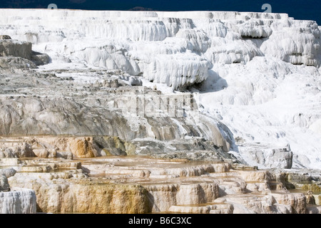 Canary Spring, a geothermal feature at Mammoth Hot Springs in ...