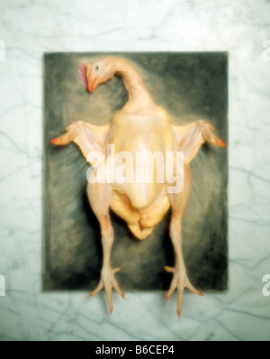 Raw chicken meat on display on a butcher's stall in Mercado San Pedro ...