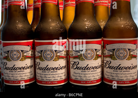 Bottle of ice cold Budweiser Beer, USA Stock Photo, Royalty Free Image ...