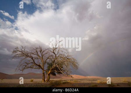 Rainbow in Sossusvlei , Namib-Naukluft National Park , Namibia Stock ...