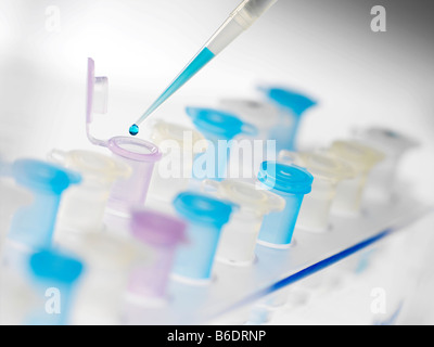 Preparing sample vials. Pipette being used to add a liquid to a vial ...