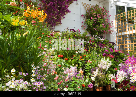 Flowers in a greenhouse at Balmoral Castle, Ballater Aberdeenshire ...
