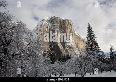 CALIFORNIA - Winter sunrise on El Capitan in the Yosemite Valley area ...