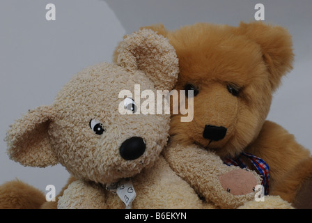 2 friendly cuddly toy teddy bears isolated on a white background Stock ...