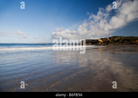 Plage de Trez-Rouz, beach, with somebody walking with a dog, Camaret ...