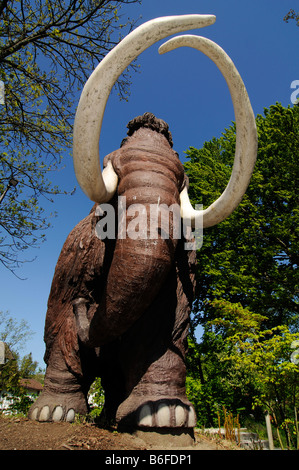 Woolly Mammoth figure, life size, overlooking racing cyclist in ...