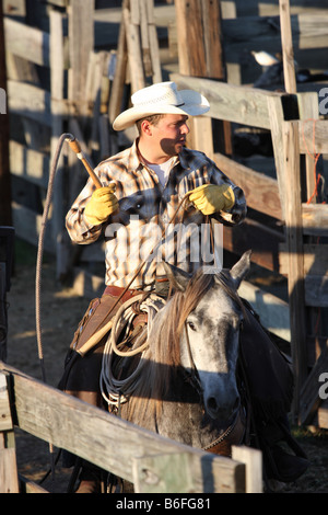 Working cowboy in the cattle pens of a Texas ranch in the late 1990s ...