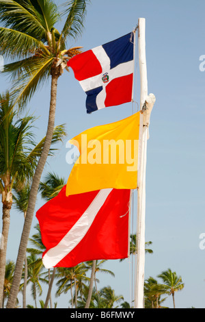 Caribbean beach and Dominican Republic flag on Saona island Stock Photo ...