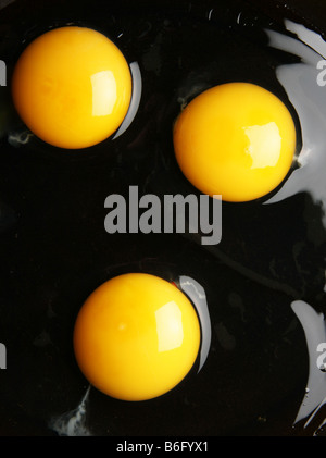 above view of white egg in cup on white plate on dark wooden table ...