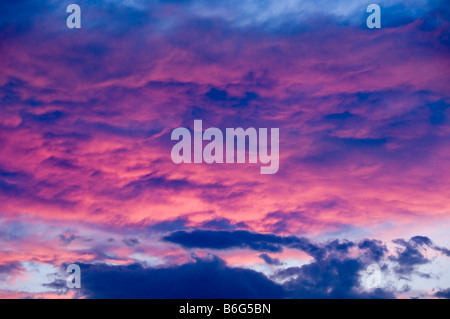 Pink cloudy sky at sunset. Sky texture. Abstract nature background ...