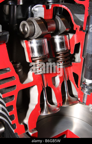 Cut away view of Cylinder and Piston from an aircraft radial engine ...