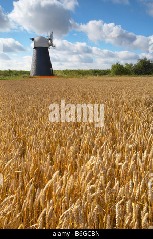Runham Swim Windmill Stock Photo - Alamy