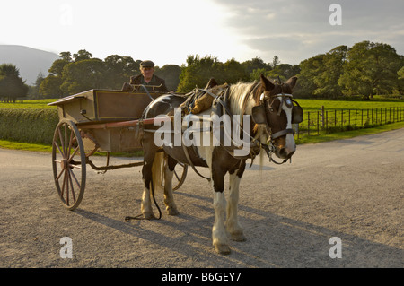 A horse and carriage "Jaunting Car" ride near Ross Castle in Stock ...