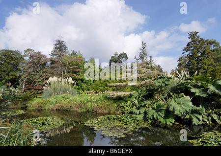 Fota gardens arboretum Stock Photo - Alamy