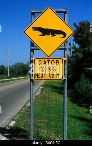 Yellow alligator warning sign Stock Photo - Alamy