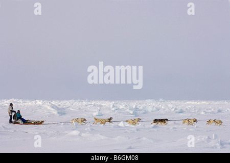 dog mushers take a ride over the pack ice along the Arctic coast ...