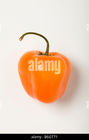 Manzano chili pepper Stock Photo - Alamy