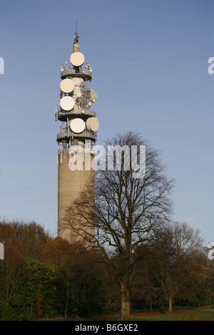 TV and mobile phone transmitter masts on Manmoel Common alongside the ...
